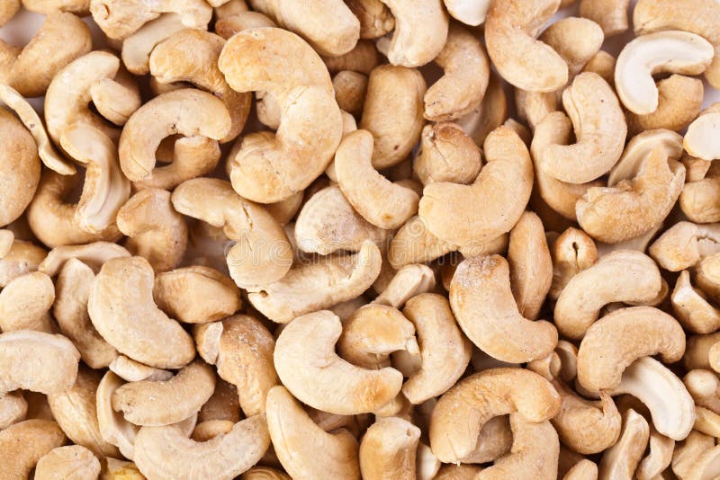 Anacardos imagen de archivo. Imagen de dieta, anacardos - 14056197