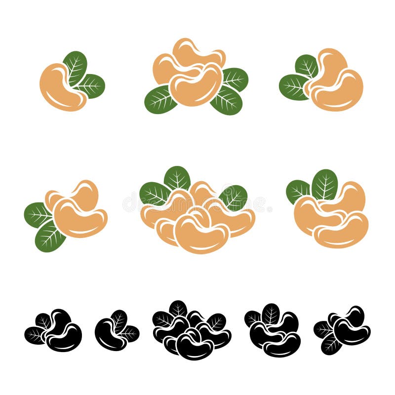 Anacardos fijados Vector ilustración del vector. Ilustración de modelo ...