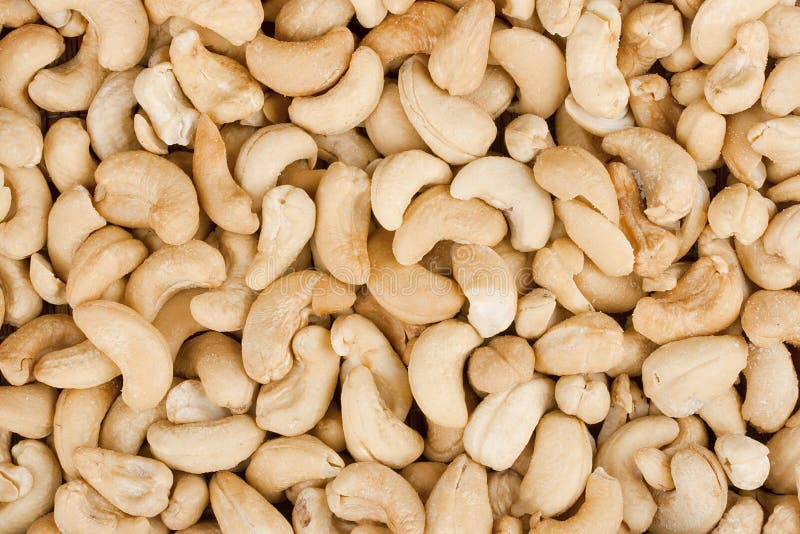 Anacardos Nuts imagen de archivo. Imagen de alto, componente - 16541609