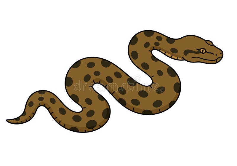 Anaconda clipart stock vector. Illustration of pattern - 363811818