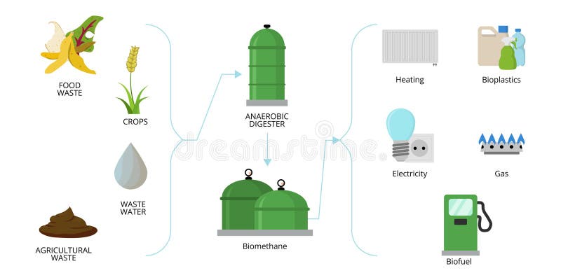 Anaerobic Digester Converting Waste into Biomethane. Stock Vector ...