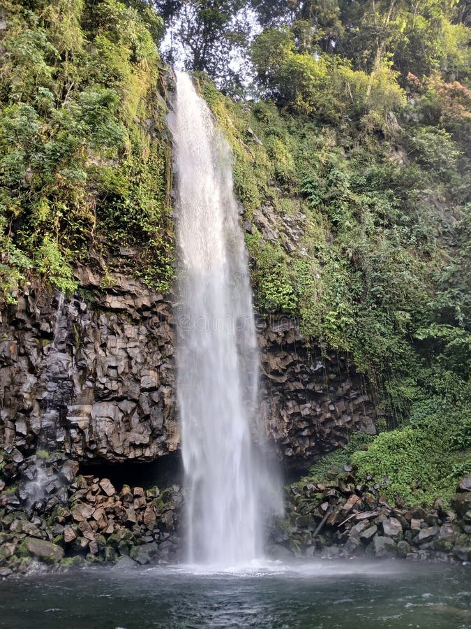 Anai valley waterfall stock image. Image of tree, watercourse - 374057859