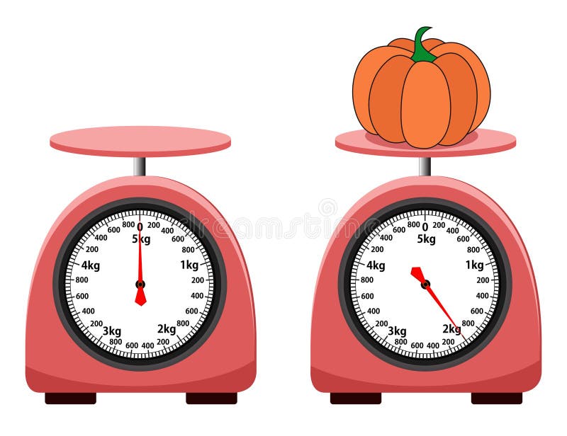 Analog Scale Pumpkin. Isolated on White Background. Vector Illustration ...