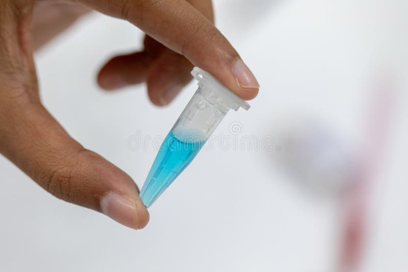 Analysis Chemical Composition in Laboratory. Stock Photo - Image of ...