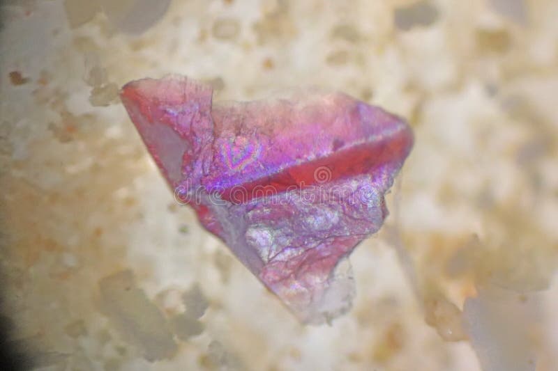 Analysis of Microplastic Waste Contaminated in Soils and Water. Stock ...