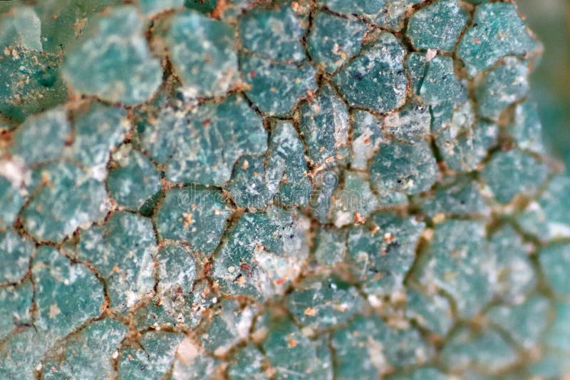 Analysis Morphology of Microplastic Waste Contaminated in Soil and ...