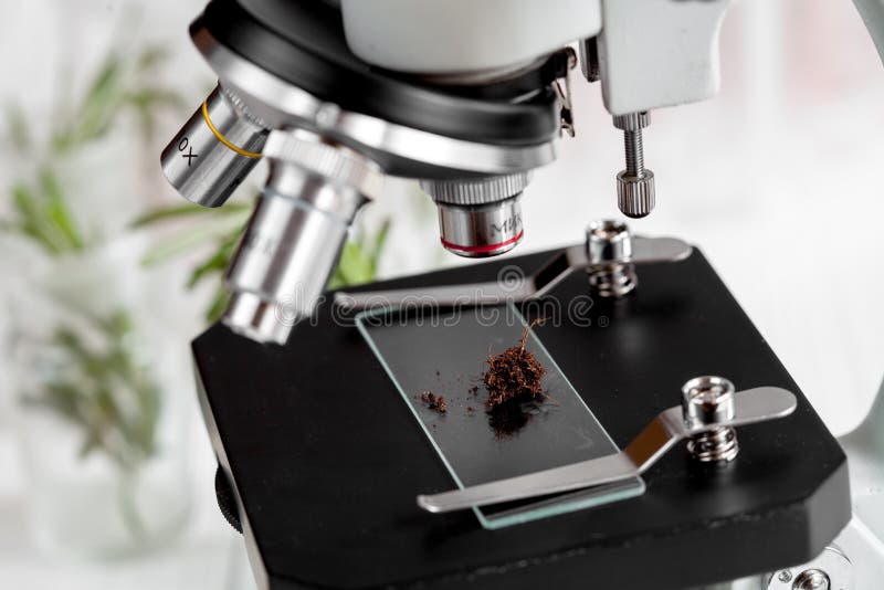 Analysis of Soil Samples Under Microscope Stock Image - Image of ...