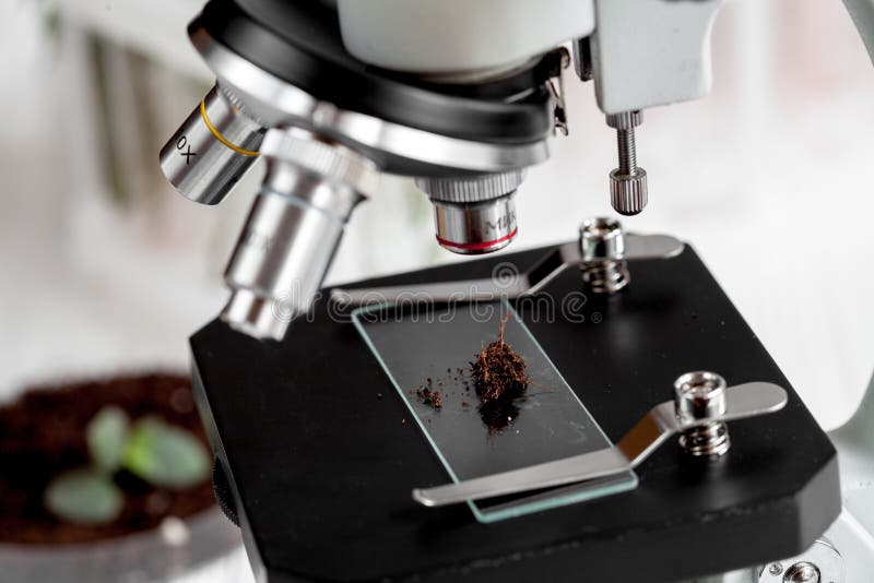 Analysis of Soil Samples Under Microscope Stock Photo - Image of test ...