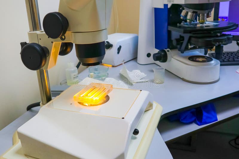 Analysis Under a Microscope. Working in the Laboratory Stock Image ...