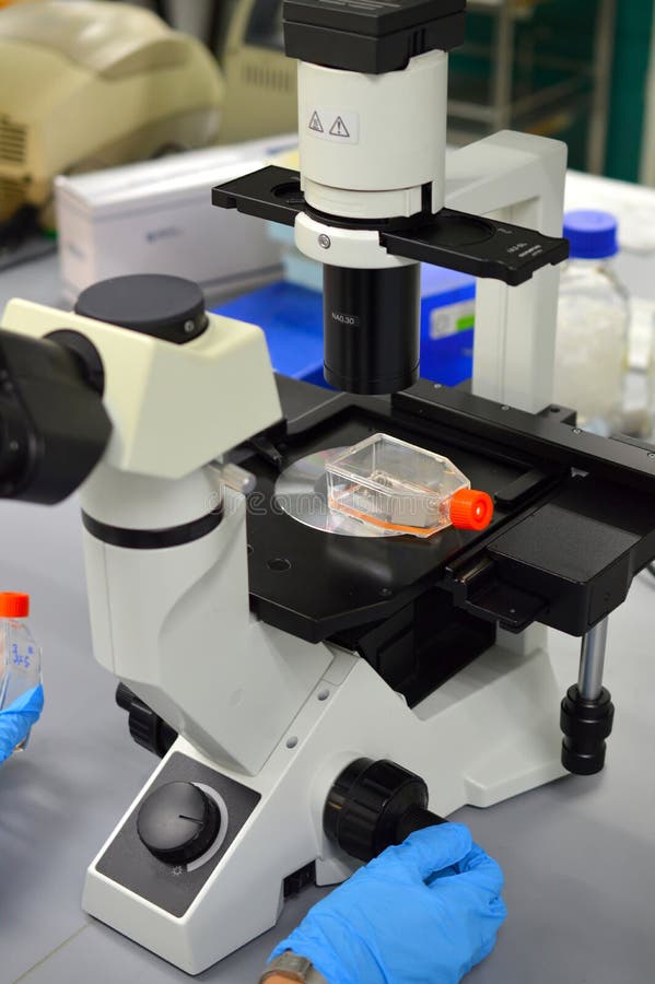 Analysis Using a Microscope Stock Photo - Image of chemical, glassware ...