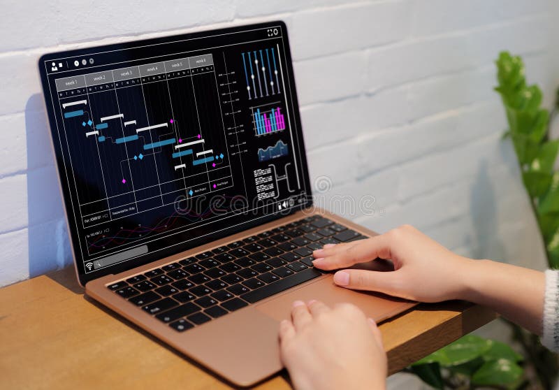 Data Analytics and Analyst Working with Computer in Business Management ...
