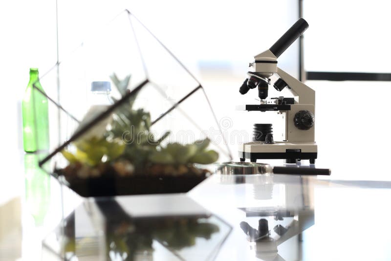 Analytical laboratory stock image. Image of study, biotechnology - 75698959