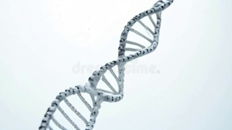 Analyzing DNA Structure Animation on White Background Stock Video ...