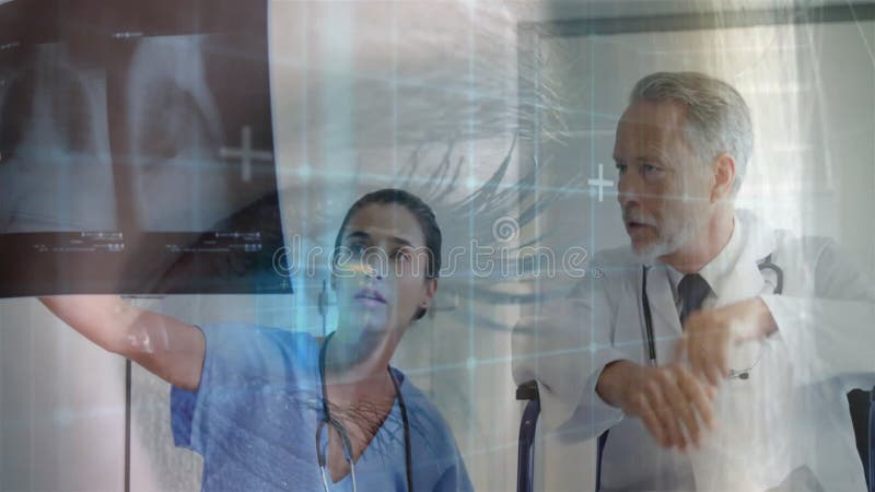 Analyzing X-ray with Digital Data Overlay, Medical Professionals in ...