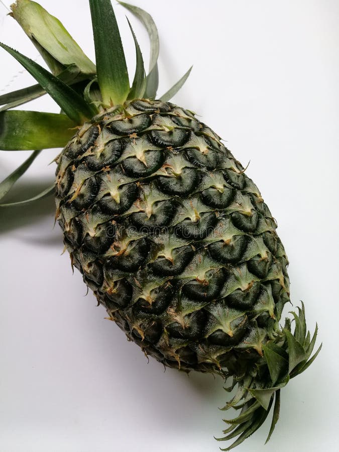 Ananas photo stock. Image du objet, fond, couleur, fruits - 103319680
