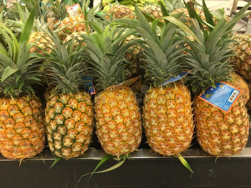 Ananas redaktionelles stockbild. Bild von frucht, ananas - 105088009