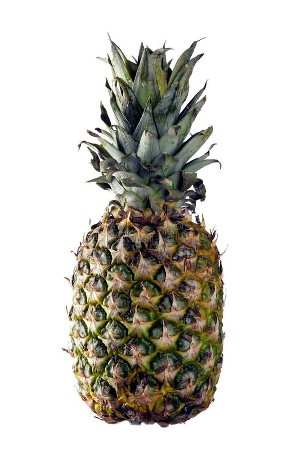 Ananas stock image. Image of ananas, pine, stern, sativa - 11412921