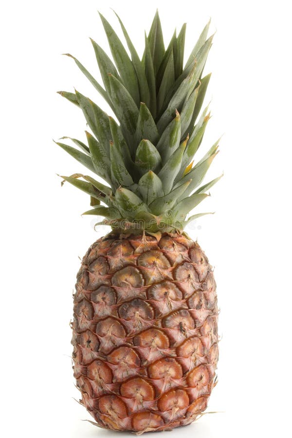 Ananas stockfoto. Bild von blätter, hintergrund, grün - 12389226