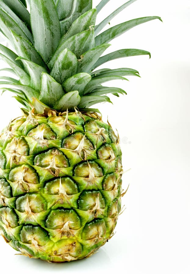Ananas arkivfoto. Bild av saftigt, nytt, frukter, natur - 13028048