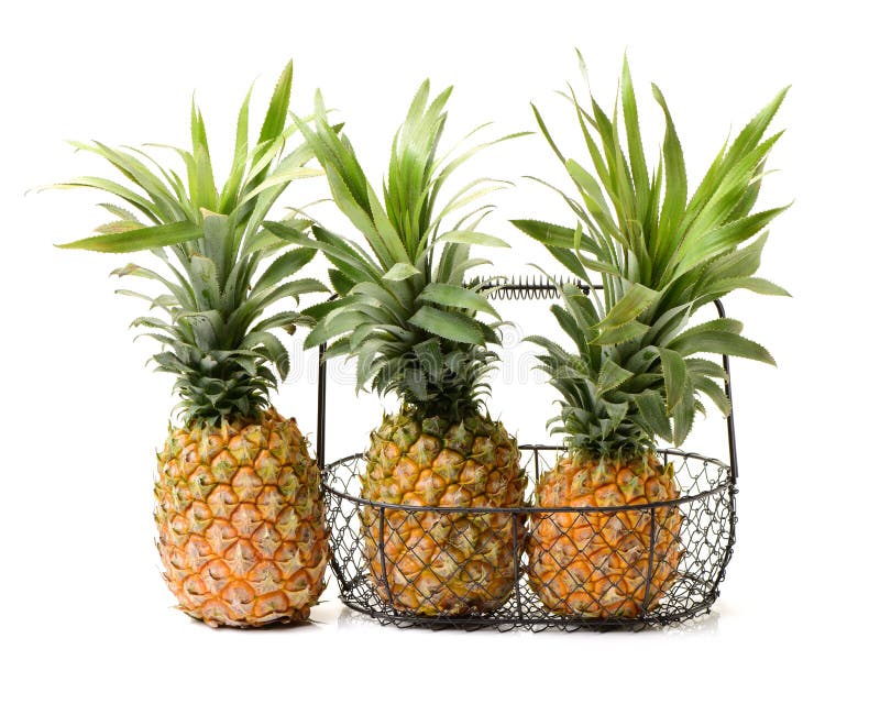 Ananas stockbild. Bild von blätter, nachtisch, frische - 131032091