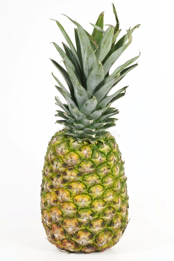 Ananas stockbild. Bild von tropisch, nahrung, vertikal - 13193857