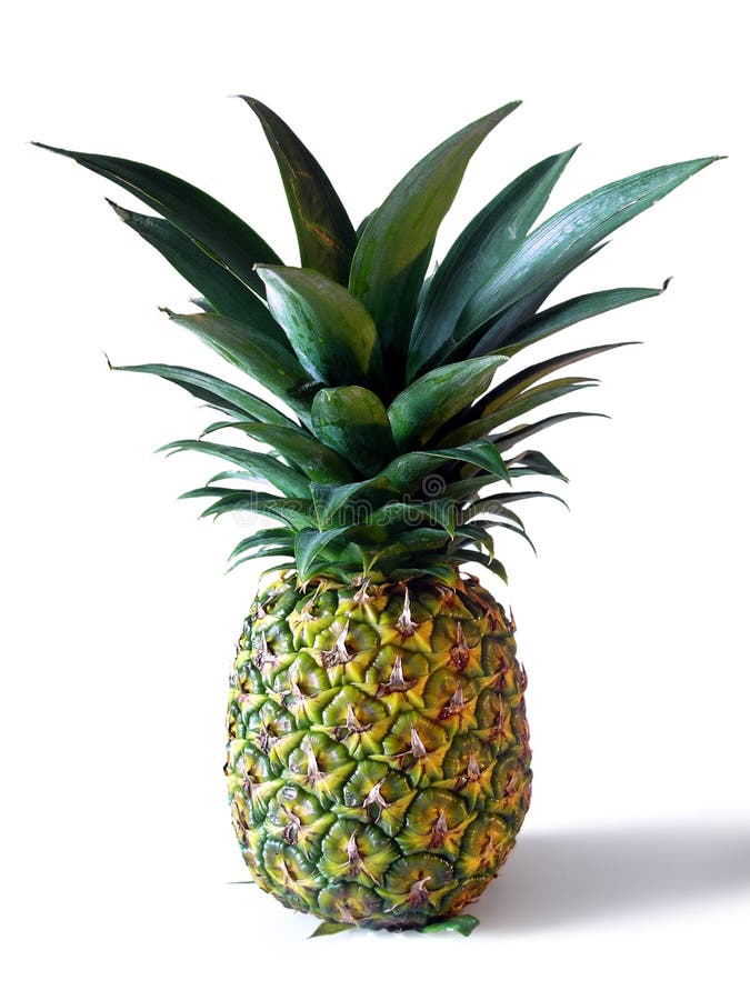 Ananas image stock. Image of régime, fermer, couleur, peau - 1402445