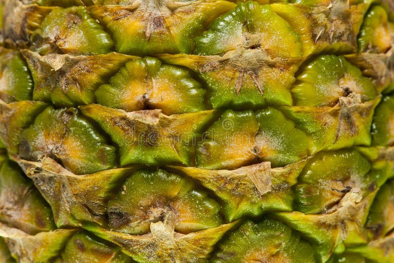 Ananas stock photo. Image of freshness, nature, object - 17079290