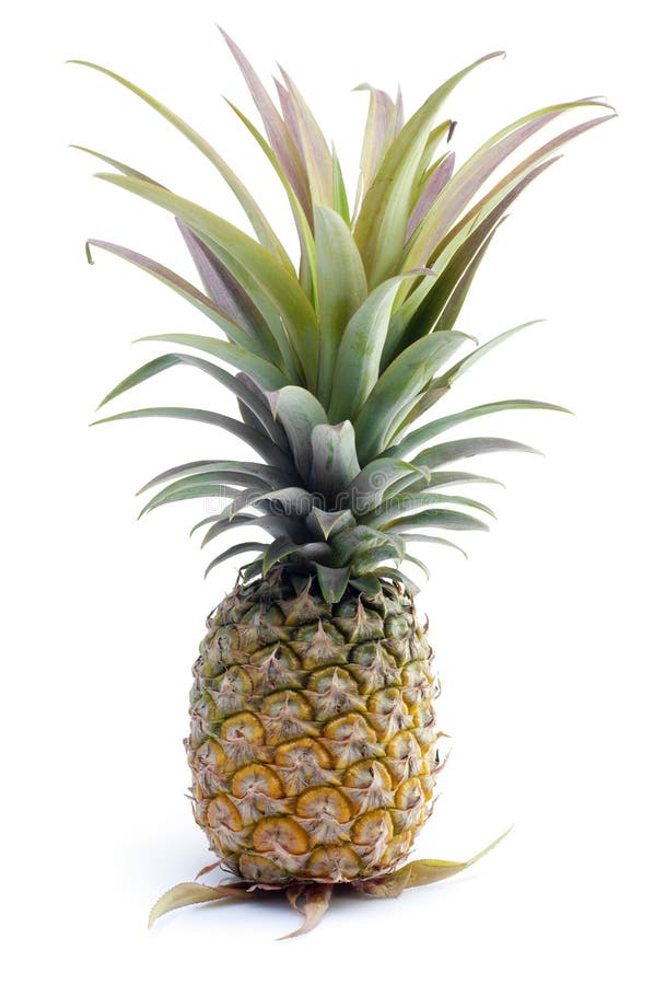 Ananas fotografering för bildbyråer. Bild av isolerat - 17359667
