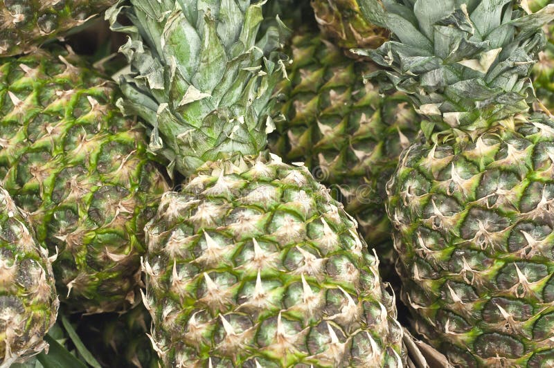 Ananas fotografering för bildbyråer. Bild av organiskt - 67409217