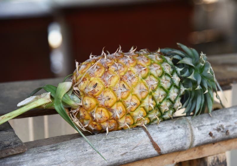 Ananas fotografia stock. Immagine di hawai, ingrediente - 70058068