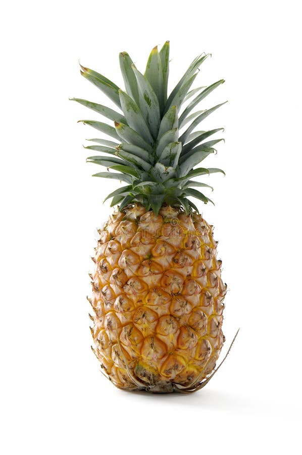 Ananas arkivfoto. Bild av parfymerat, bakgrund, färg, asiatisk - 7459442