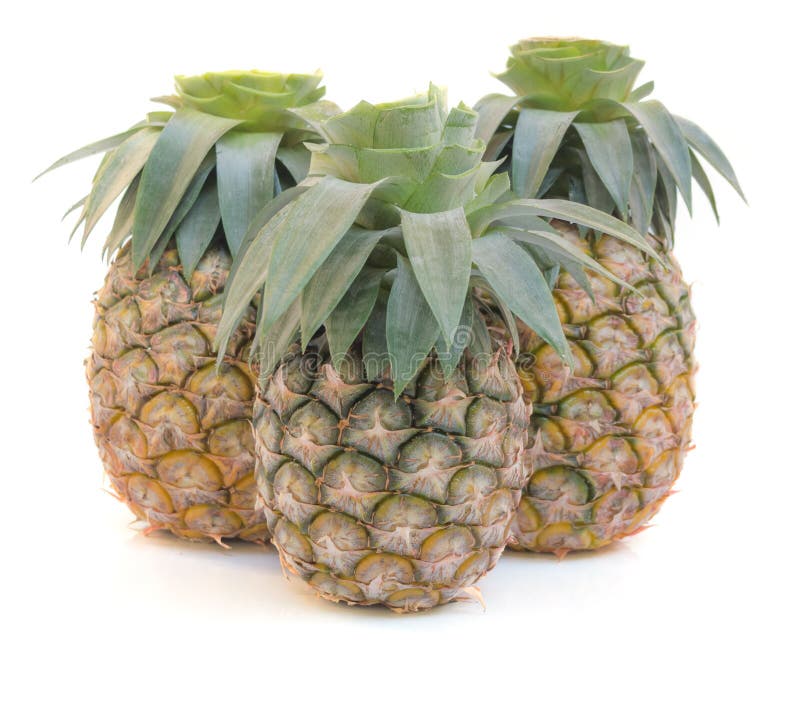 Ananas fotografia stock. Immagine di maturo, tropicale - 83794158