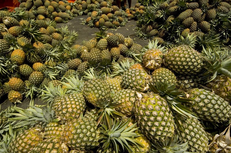 Ananas image stock. Image du mûr, produit, texture, jaune - 882329
