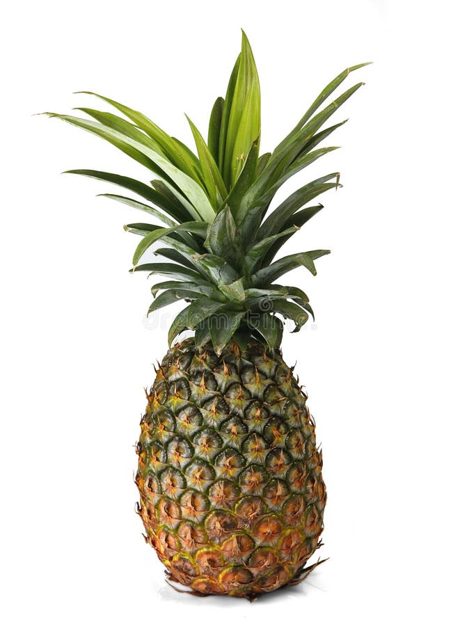 Ananas photo stock. Image du été, tropical, isolement - 9439704