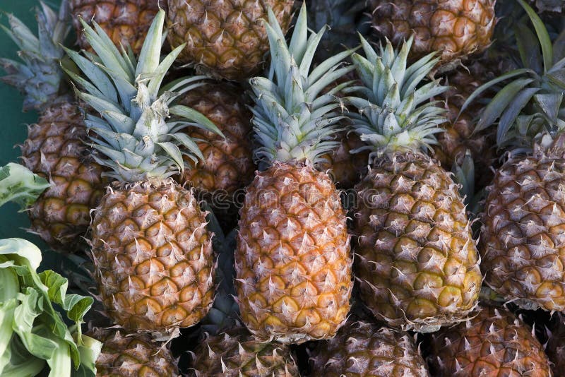 Ananas Anananas Comosus Op De Fruitmarkt in Normandy Stock Foto - Image ...