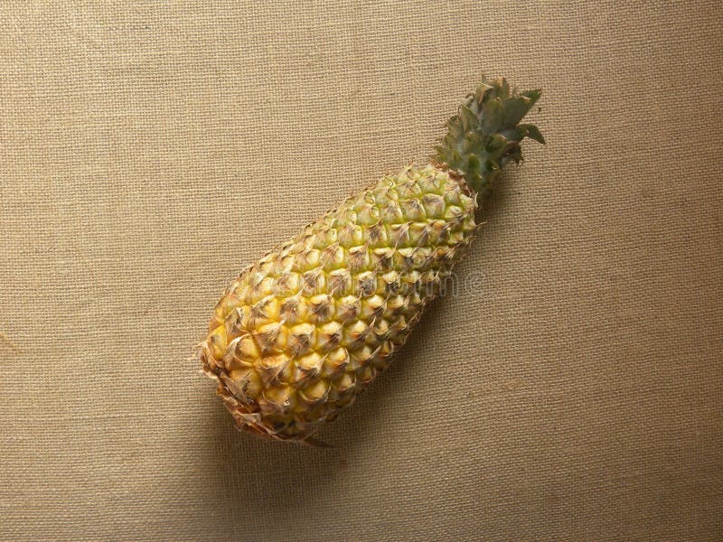 Ananas comosus isolated stock photo. Image of fresh - 171164198