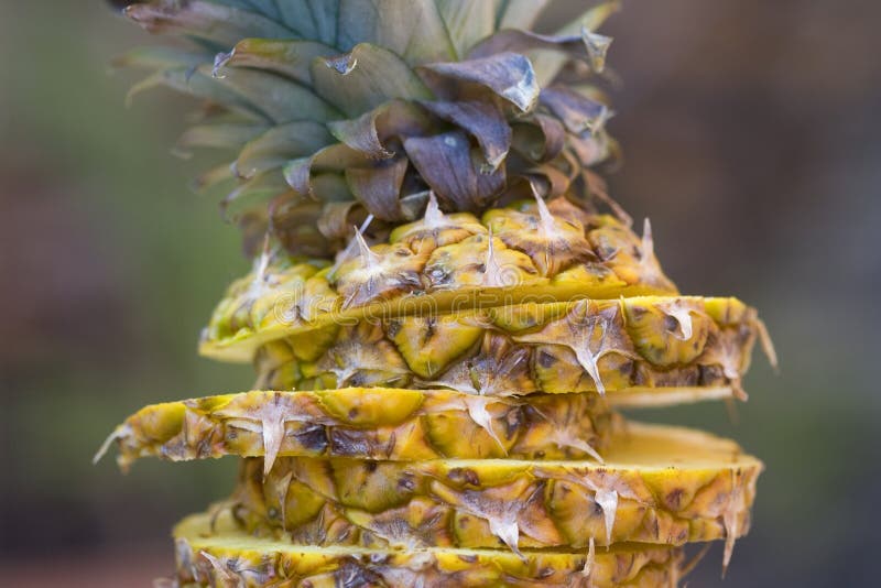 Ananas coupé en tranches photo stock. Image du boucles - 44680970