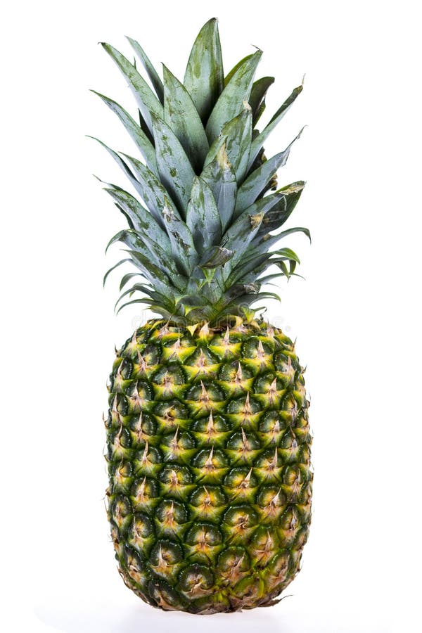 Isolated ananas fruit stock image. Image of ananas, tropical - 45252401