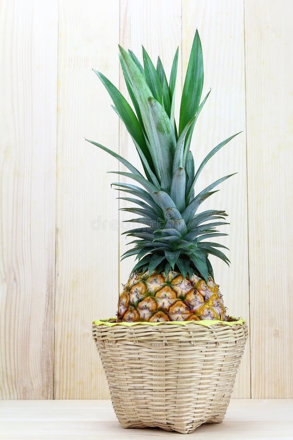 Ananas dans le panier image stock. Image du gourmet, frais - 20678685