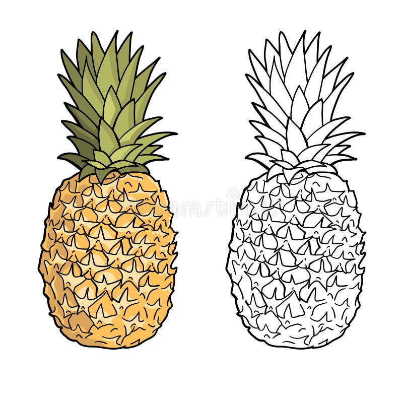 Ananas Stilisierte Zeichnung Der Grafik Vektor Abbildung - Illustration ...