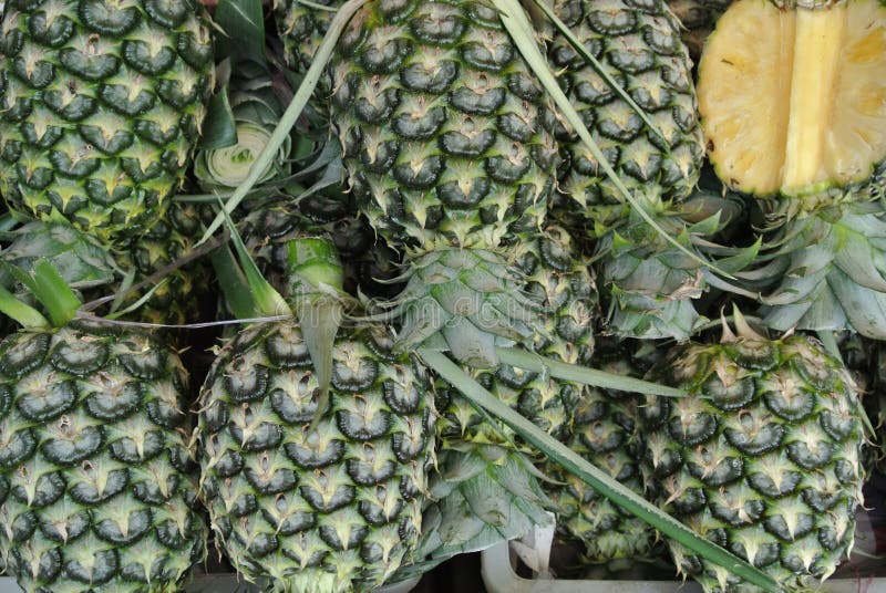 Ananas image stock. Image du pointu, ananas, jaune, table - 105211643