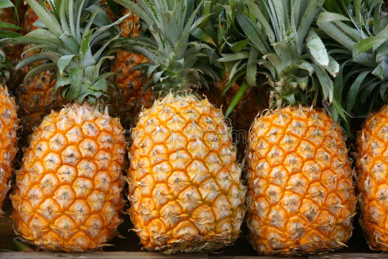 Ananasy obraz stock. Obraz złożonej z tło, owoc, dużo - 24237627