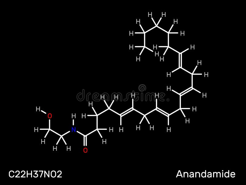 Anandamide, Endogene Neurotransmitter Structurele Formule Vector Vector ...