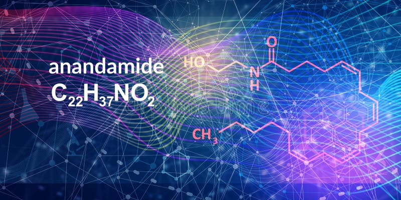 Anandamide Endogenous Cannabinoid Neurotransmitter Molecule. Skeletal ...