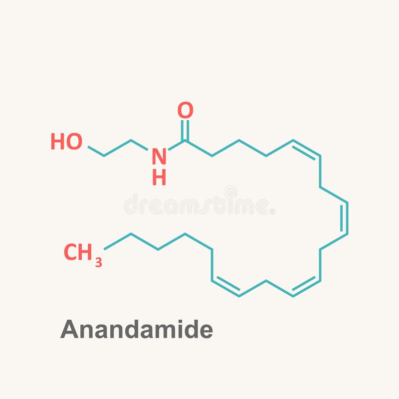 Anandamide Endogenous Cannabinoid Neurotransmitter Molecule. Skeletal ...