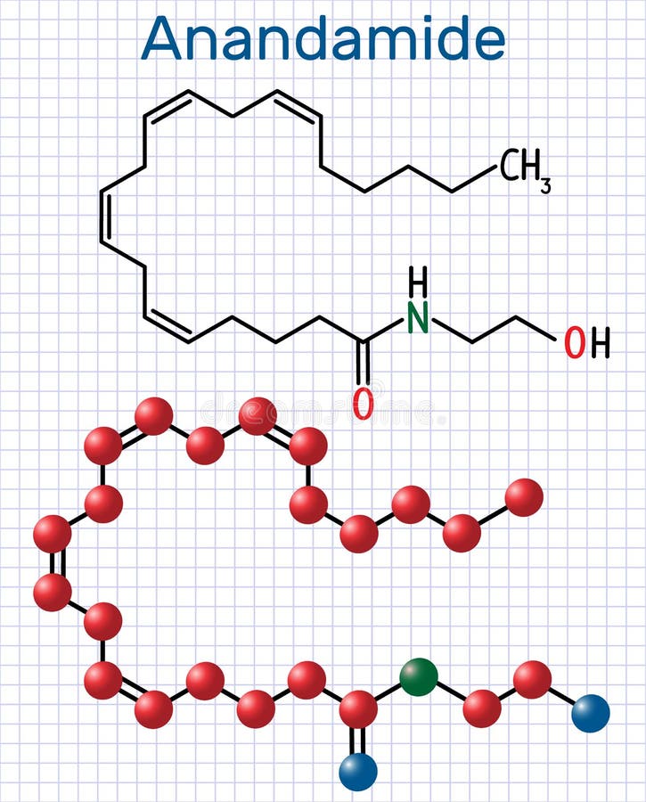 Anandamide Molecule. it is Endogenous Cannabinoid Neurotransmitter ...