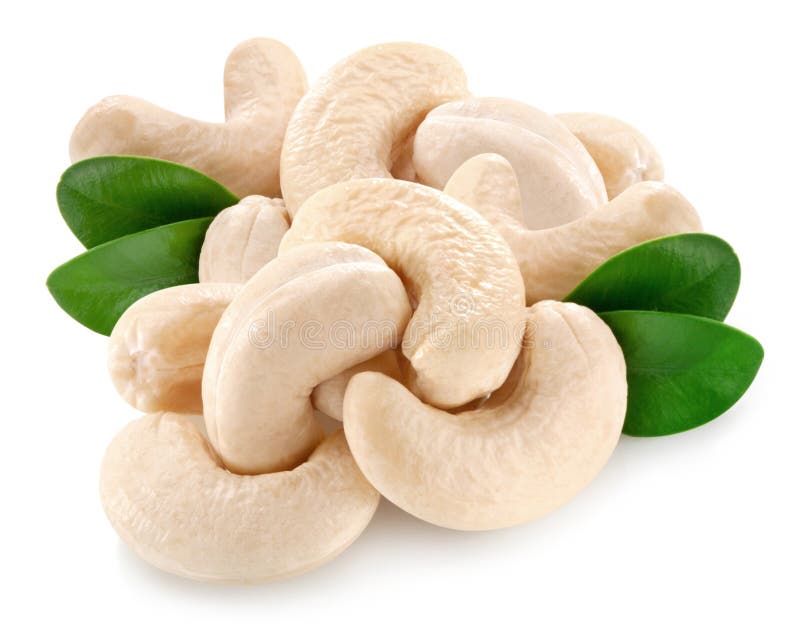 Arbre d'anacarde photo stock. Image du noix, agriculture - 63308