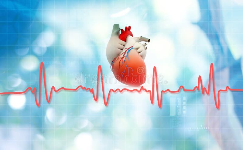 Gráfico Normal Del Latido Del Corazón ECG Stock de ilustración ...