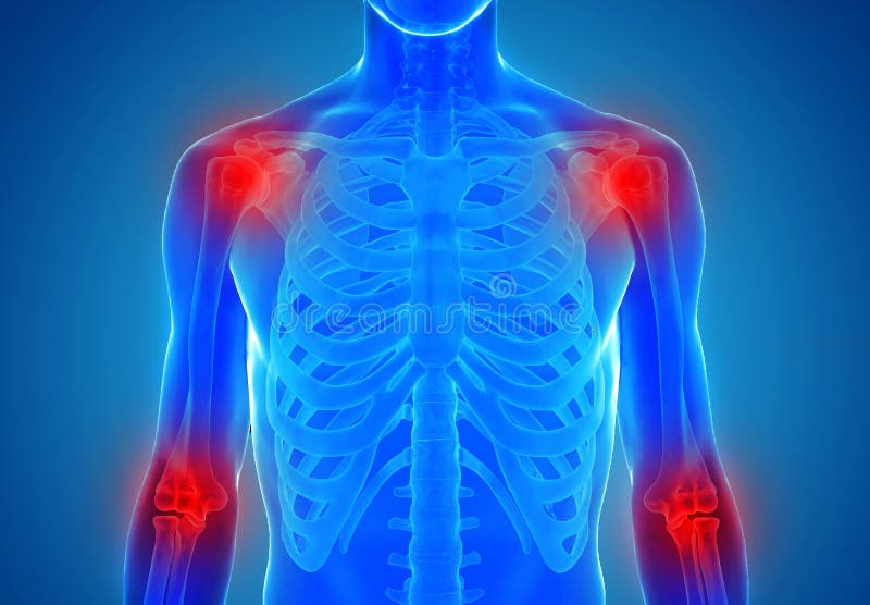 Anatomi Av Den Mänskliga Knäleden Fotografering för Bildbyråer - Bild ...