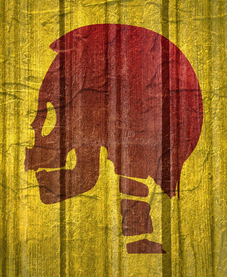 Anatomic Illustration Av Skallen Vektor Illustrationer - Illustration ...